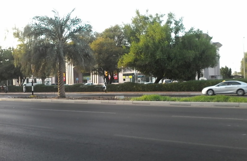 Al Masoudi, Abu Dhabi Area Guide