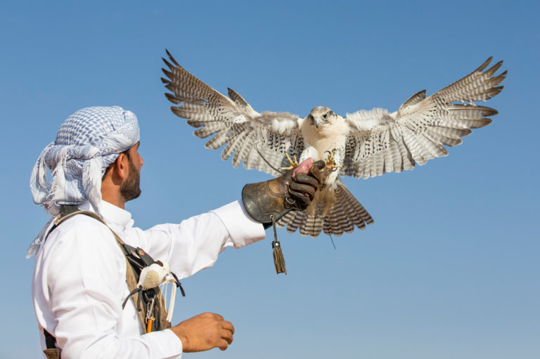 Read 8 Most Popular Traditional Sports in the UAE