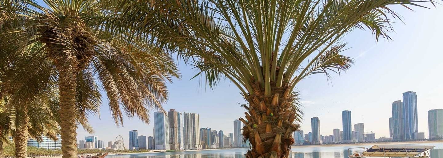 Al Suyoh 1, Sharjah Area Guide